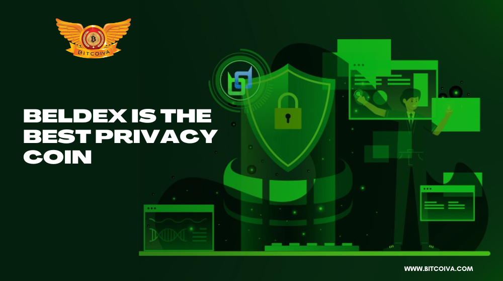Beldex The Best Privacy Coin Everything You Must Know