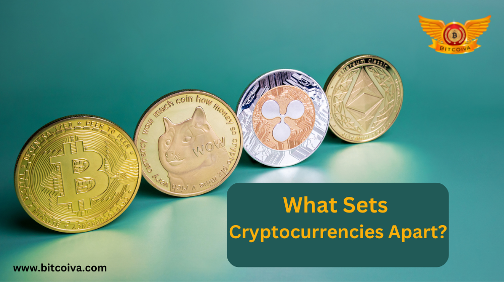 How Are Cryptocurrency Categorized